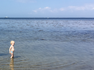 Rejseguide til Malmø - Gode oplevelser for hele familien